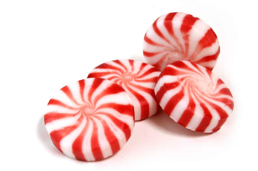 DIY Peppermint Candy Platter Sisters Know Best
