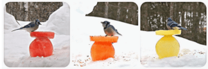 DIY Ice Bird Feeders