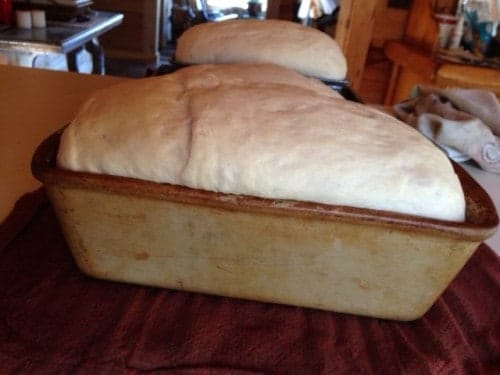 4 Ingredient Bread Recipe | Perfect Bread